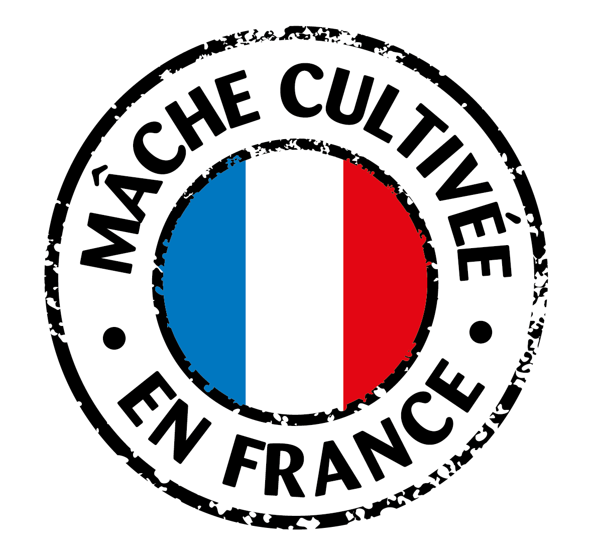 picto mache cultive en france - Florette Food Service